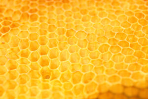 Beeswax Absolute (Robertet) – Perfumer Supply House
